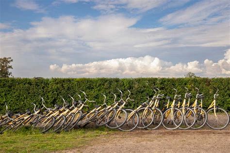 A New Understanding Of Causality Could Fix Quantum Theorys Fatal Flaw