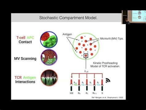 Free Video Applications Of Extreme Statistics To Cellular Decision Making And Signaling From