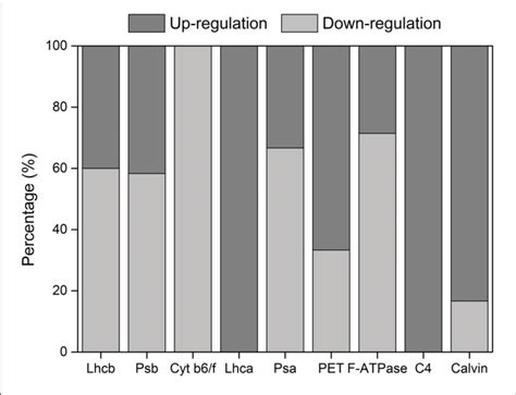 The Percentage Of Gene Up Regulation And Down Regulation In Each