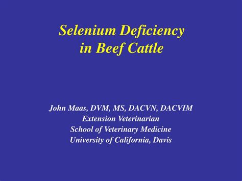 Ppt Selenium Deficiency In Beef Cattle Powerpoint Presentation Free