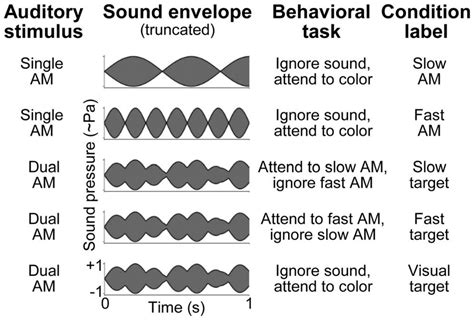 Auditory Stimuli Behavioral Tasks And Experimental Design Simple