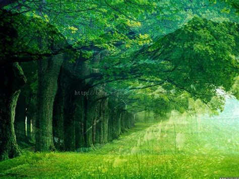 Ps图层混合算法之三（滤色， 叠加， 柔光， 强光）滤色和叠加的区别 Csdn博客