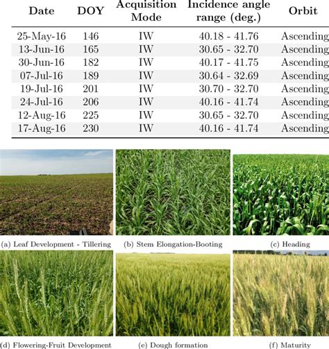 Details And Specification Of Sentinel 1a Data Used In The Present Download Scientific Diagram