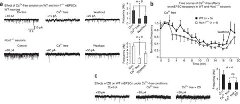 Ca2 Dependence Of Entorhinal Cortical Layer Iii Mepscs A Traces From Download Scientific