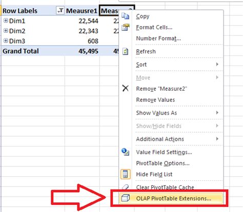 OLAP PIVOT TABLE EXCEL EXTENTSIONS Insight Extractor Blog