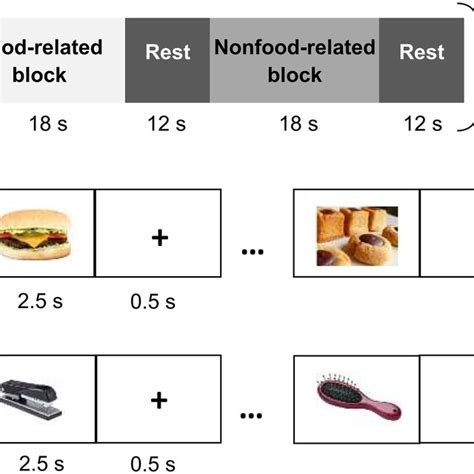 Graphical Outline Of The Stimulation Protocol Used In This Fmri Download Scientific Diagram