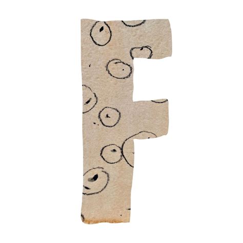 Premium Photo Capital Letter F Cut Out Paper Craft Alphabet Decorated Lines Strokes And Dots