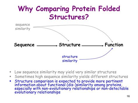 Ppt Protein Structure Similarity Powerpoint Presentation Free Download Id3352525