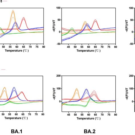 Limit Of Detection Of The Asymmetric Pcr Melting Curve Analysis Based Download Scientific