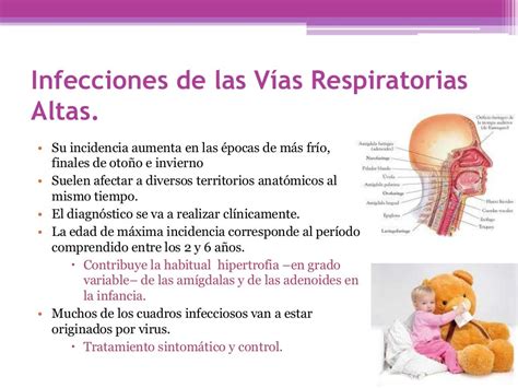 Infecciones De Las Vías Respiratorias Altas