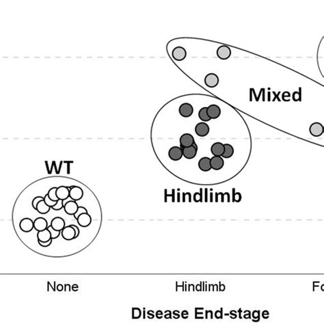 Als Phenotype Classification System Based On Pattern Of Limb Onset And Download Scientific