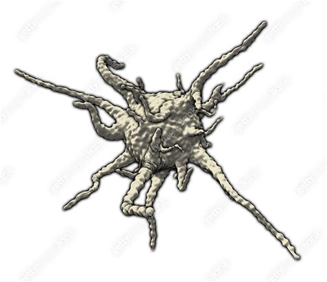 Platelet Thrombocyte Activated Cell 이미지 1279112139 일러스트 무료 일러스트 게티