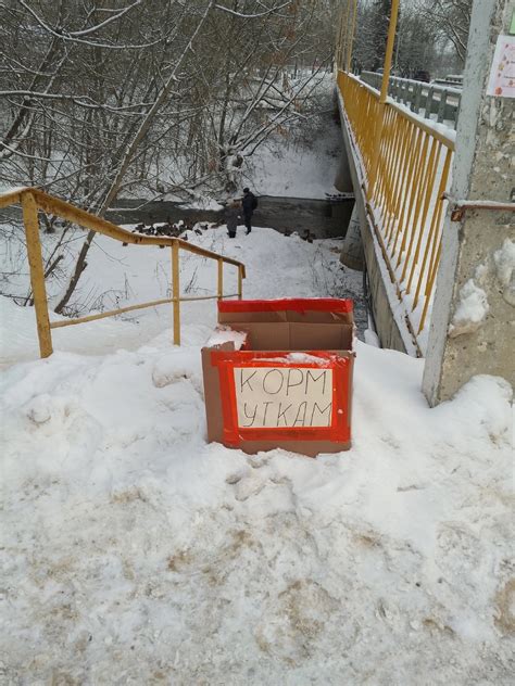 В Яхроме пвозле моста неравнодушные люди Life Дмитров