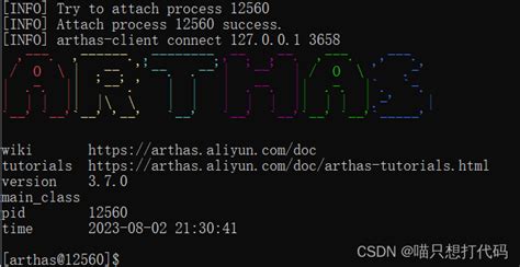 Java 诊断工具 Arthas Boot 安装步骤及常用命令 Csdn博客 Java 诊断工具 Arthas Boot 安装步骤及常用命令 Csdn博客