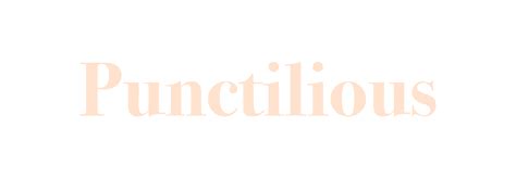 Punctilious Word Daily