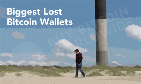 7 Biggest Lost Bitcoin Wallets List Bitbo Store