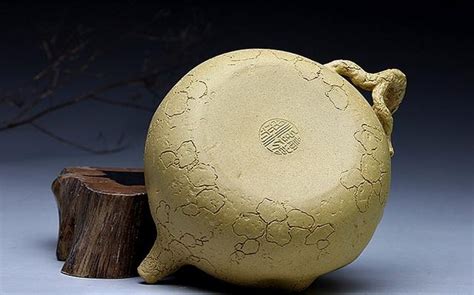 本山绿灵芝供春 每日头条