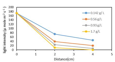 Local Light Intensity Vs Distance From The Vessel Surface At Different Download Scientific