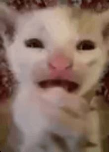 Scared Meme S Tenor