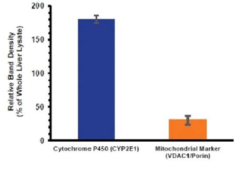 Microsome Isolation Kit Ab206995 Abcam