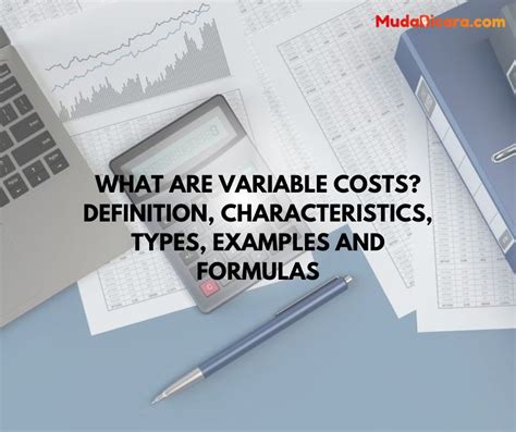 What Are Variable Costs Definition Characteristics Types Examples