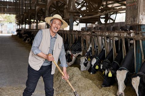 낙농장을 청소하는 농부 사진 무료 다운로드 Lovepik