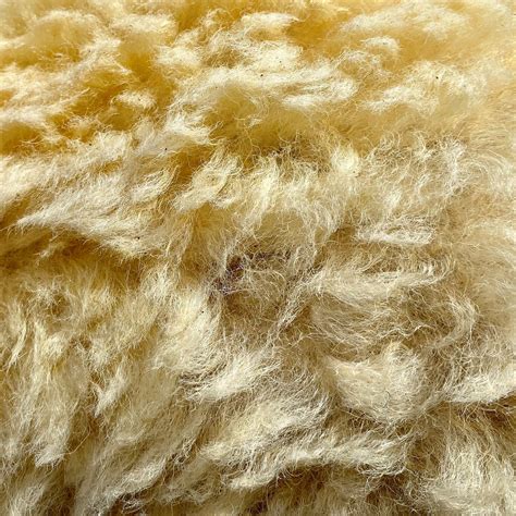 Raw Sheep Wool Mulch Natural Fertiliser And Pest Deterrent Chimney Sheep