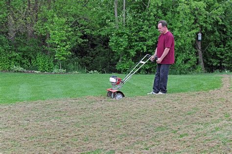 How To Dethatch Lawn Essential Steps For Healthier Grass Lawn And Mowers