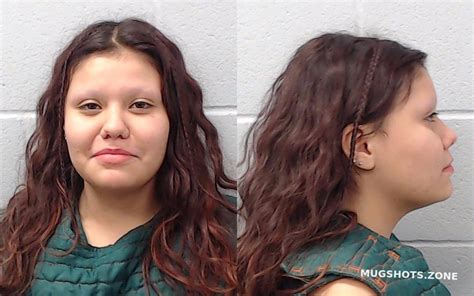 Gaytan Lindsy Roberta 11 07 2024 Hays County Mugshots Zone