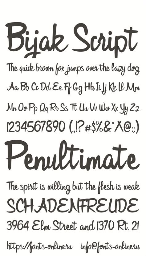 Bijak Script Font