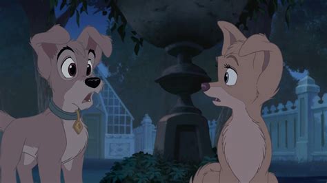 Pin By Veerada Jaja On Moonlight Serenade Lady And The Tramp Angel