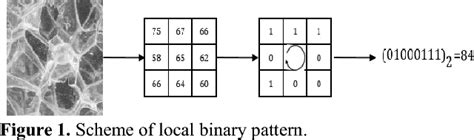 Figure 2 From Classification Of Textures Using Filter Based Local