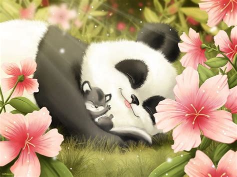 Panda Cute Wallpaper