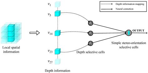 Artificial Visual System For Stereo Orientation Recognition Based On