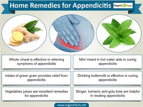Appendicitis Is A Medical Emergency When The Appendix Becomes Inflamed And Filled With Pus Artofit