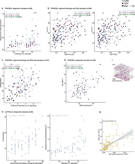 Validation Of The Automated Single Cell Classification For Hande A Download Scientific Diagram