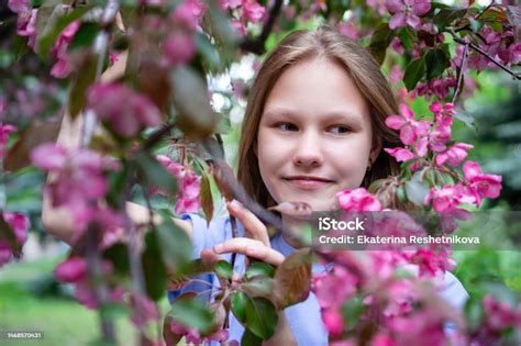 소녀의 봄 얼굴입니다 사쿠라 꽃의 배경에 부드러운 여자의 클로즈업 초상화 벚꽃 정원의 하나미 축제 사쿠라 공원에 서 있는 젊은 금발 여자 12 13세에 대한 스톡 사진 및