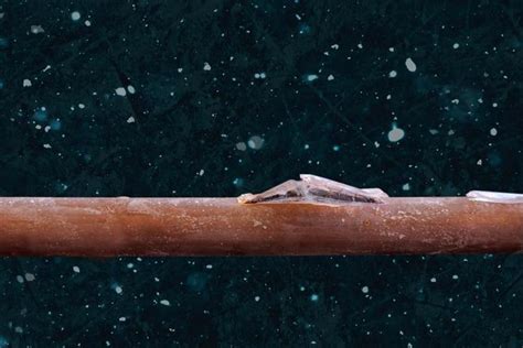 Fix Frozen Pipes Beat The Freeze Sharkbite Frozen Pipes Frozen Pipe Repair