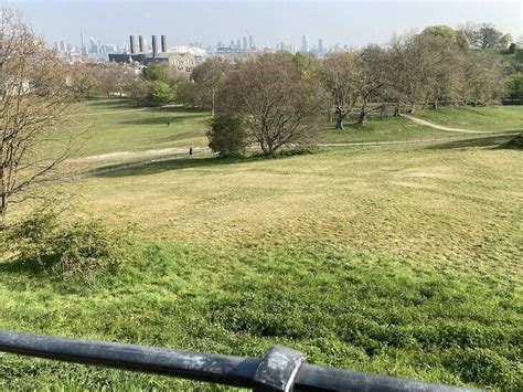 Giant Grass Steps Will Return To Greenwich Park Londonist
