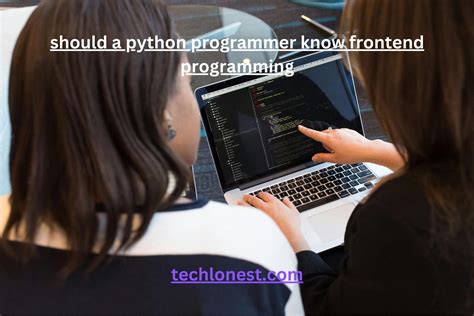 Should A Python Programmer Know Frontend Programming Best Guide 2025