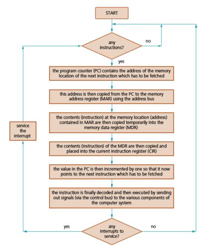 Overall Architecture Of Computers And Lecture 1 Flashcards Quizlet