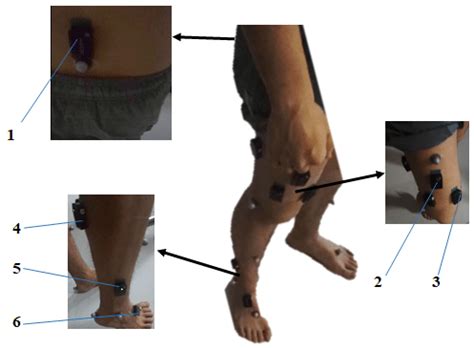 The Sensor Attachment On Subjects The Numbers 1 6 Denote The IMUs Download Scientific Diagram