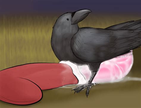 Rule 34 Animal Genitalia Avian Avian Feet Beak Big Penis Biped Bird