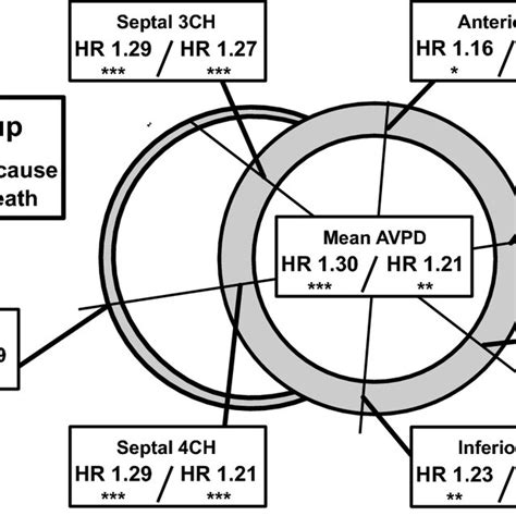 Prognostic Values By Measurement Location Univariate Cox Regression