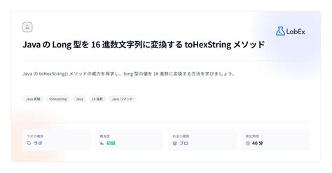 Java の Tohexstring メソッドをマスターする Labex