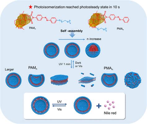 Fast And Reversible Photoresponsive Self Assembly Behavior Of Rosin Based Amphiphilic Polymers Fast And Reversible Photoresponsive Self Assembly Behavior Of Rosin Based Amphiphilic Polymers