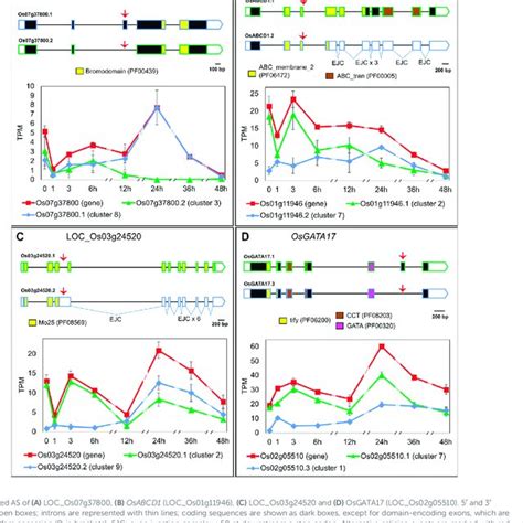 Rice Hs Response Splicing Network Main Interactions Between Dtu Download Scientific Diagram