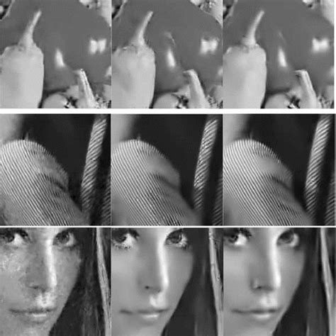 Denoising Results On Image House By Fixed Patch Size And Adaptive Patch Download Scientific