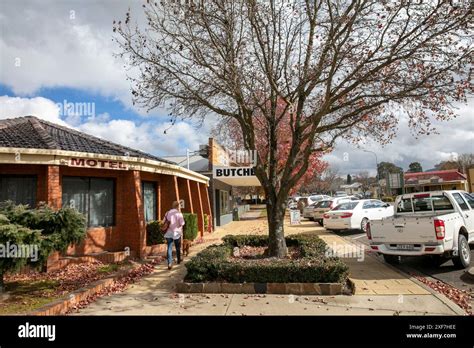Walcha Town Centre In The New England Region Of New South Wales Model Released Woman Walks Her