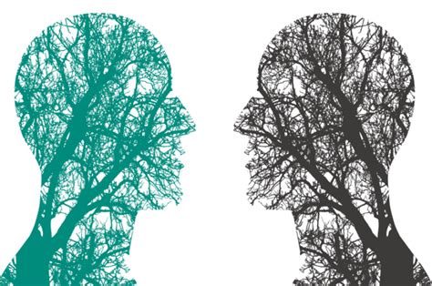 Applied Linguistics From Theory To Practice Taalhammer